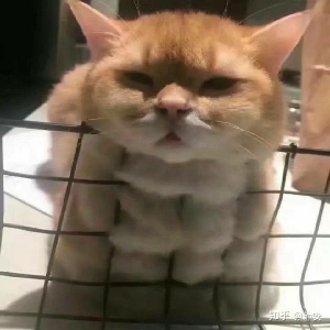 抓到和你嘿嘿 