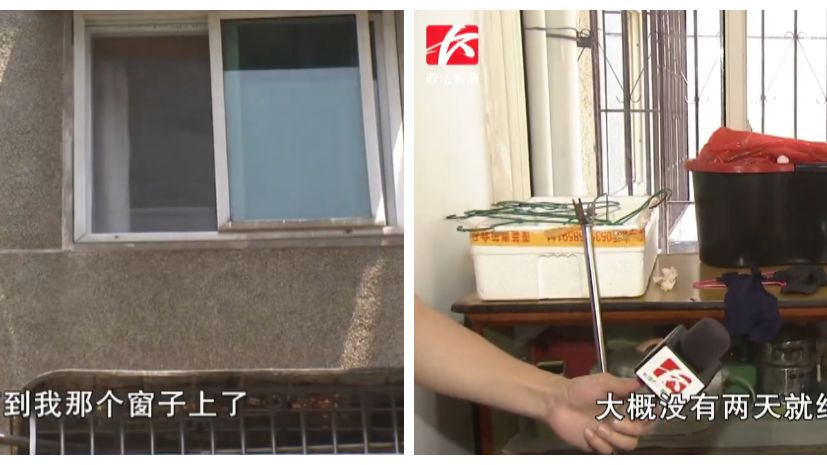 女子家中水管锈蚀严重爆裂无人管,网格化管理2天快速解决