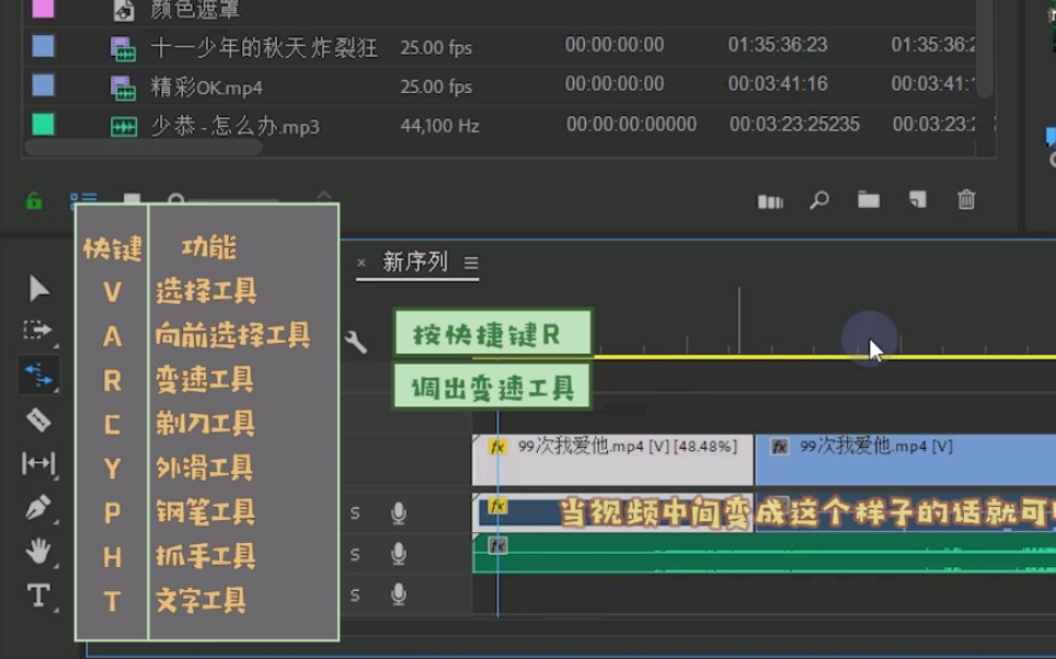 【PR教程】新手十分钟快速入门 语音+字幕讲解
