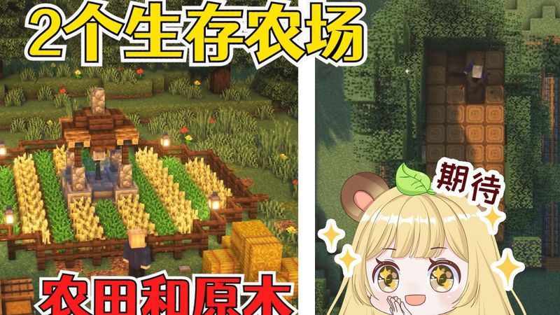 我的世界:新世界必备的2个农场,水井农田和原木回收