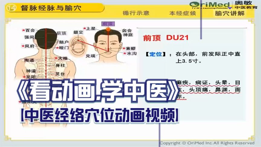 动画中医;穴位经络-督脉-前顶