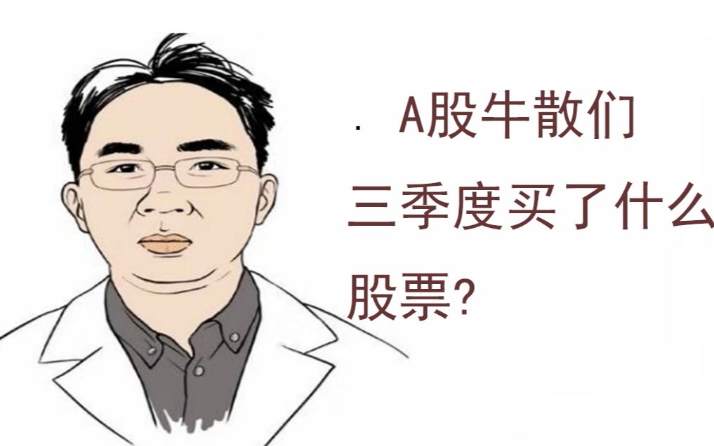 A股的牛散们,三季度买了什么股票