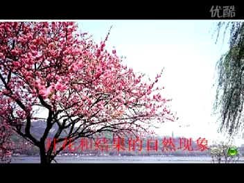 果实和种子的形成