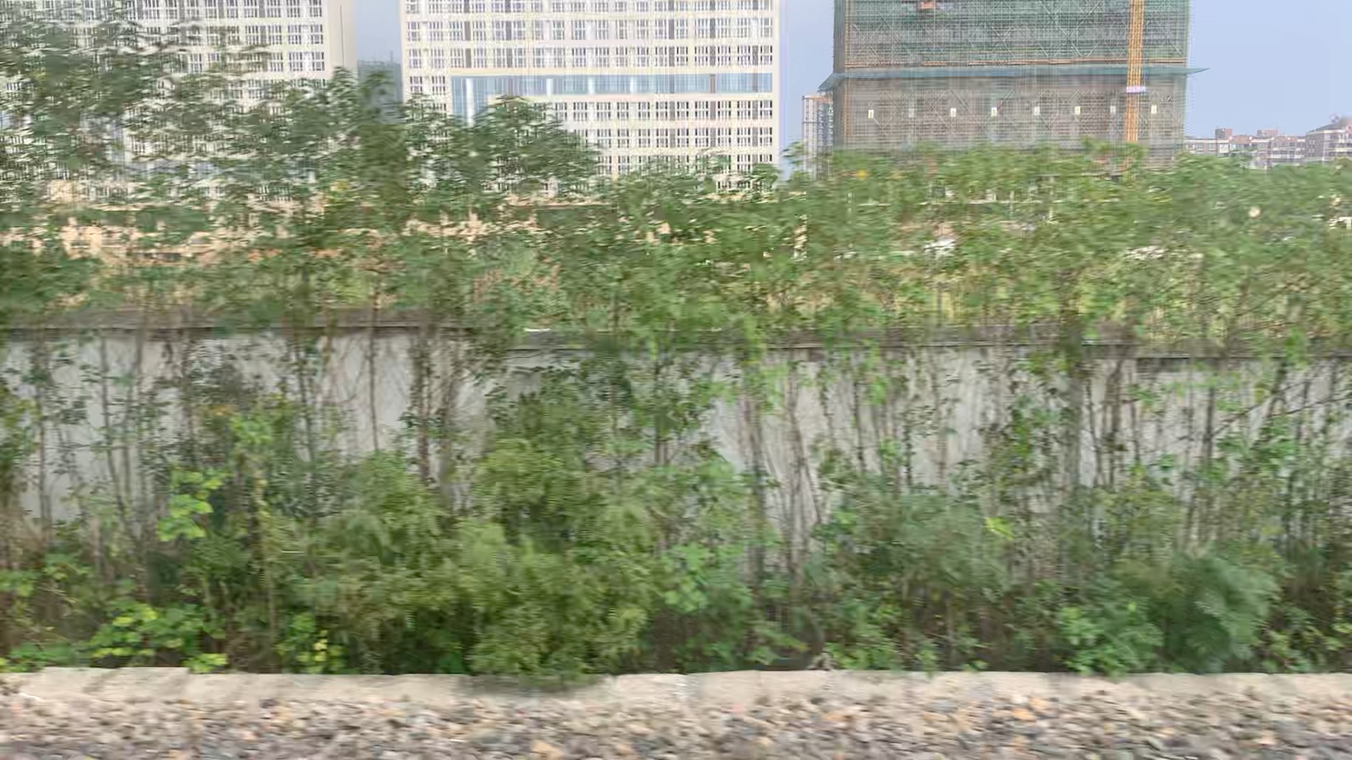 G3231次(上海虹桥站-十堰东站)本务上海动车段CRH380BL3523全椒...