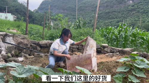 九零后美女制作九蒸九晒黄精,广东男人最爱用来泡酒,作用太好了