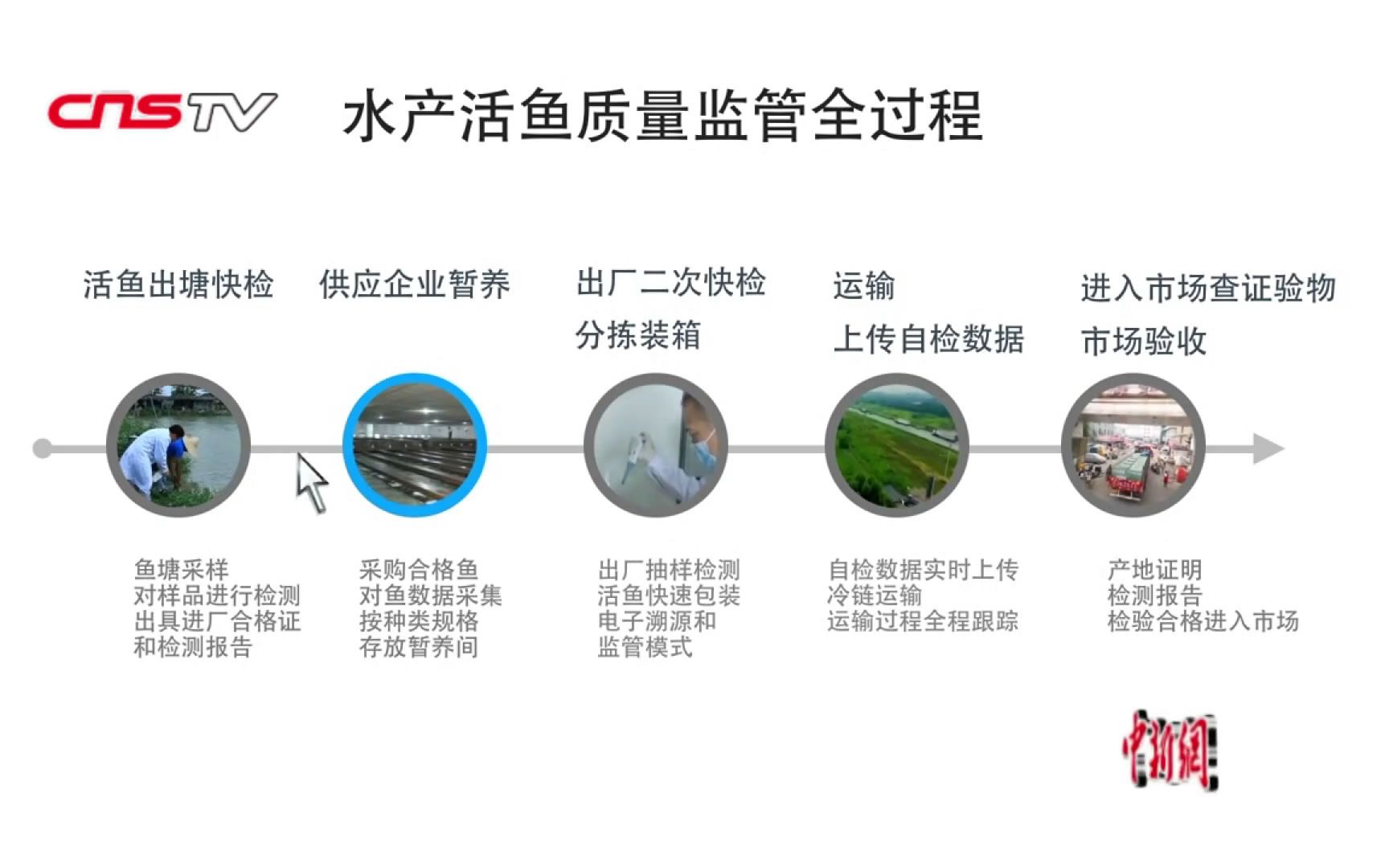 真这么检查中国怎么会有食品安全问题 官方视频“一条鱼的进京历程...