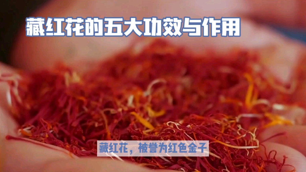 藏红花对身体的5大功效与作用,它的正确泡水方法有哪些?