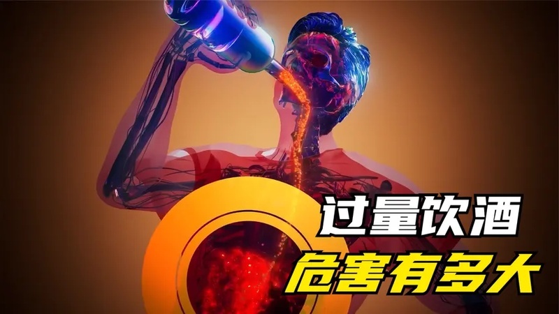 过量饮酒的危害到底有多大?看完视频后终于醒悟!