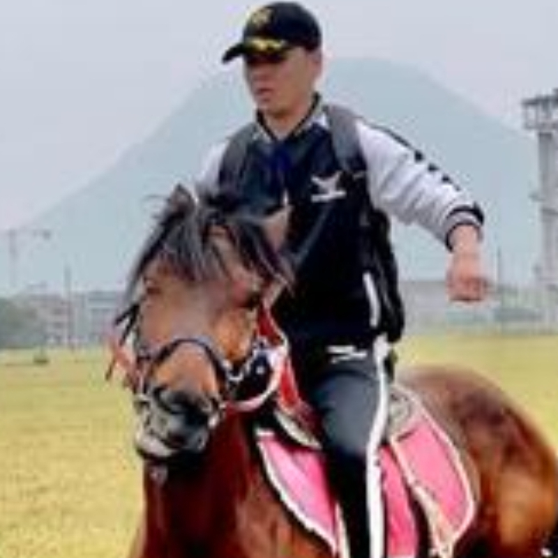 西部鋒仔