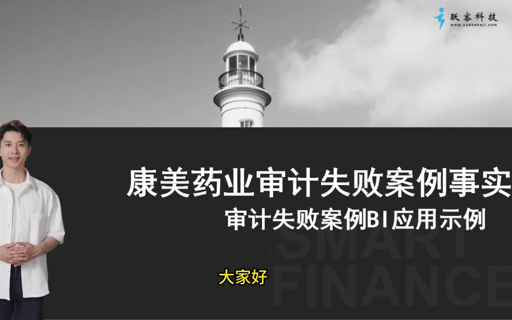 康美药业审计失败案例事实审计失败案例BI应用示例