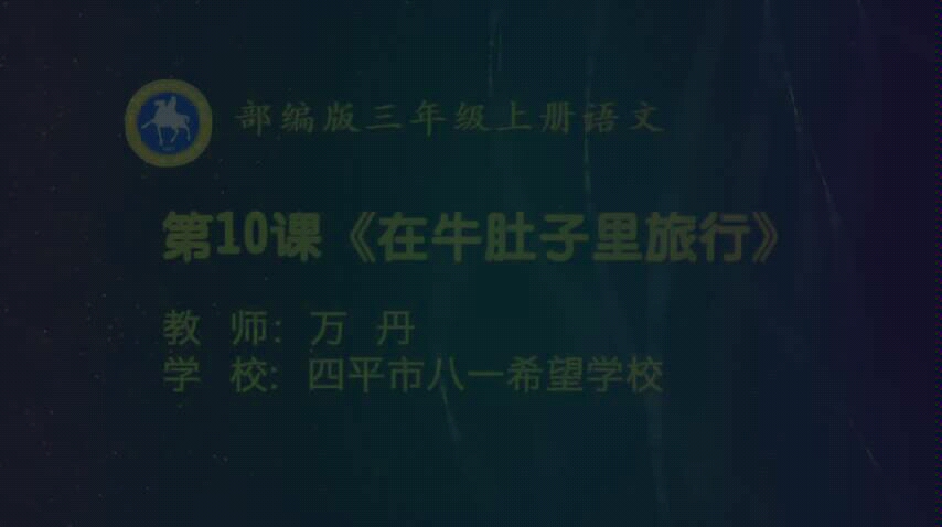 在牛肚子里旅行