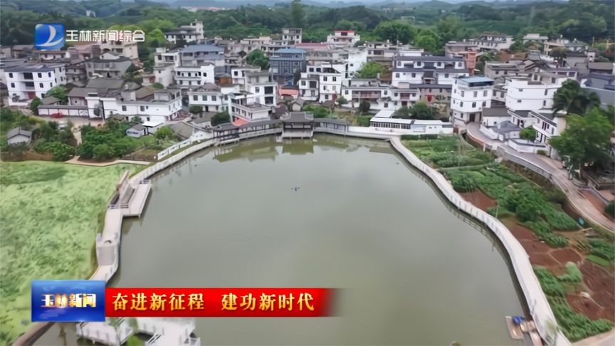 玉林:全面推行林长制 筑牢绿色发展底色