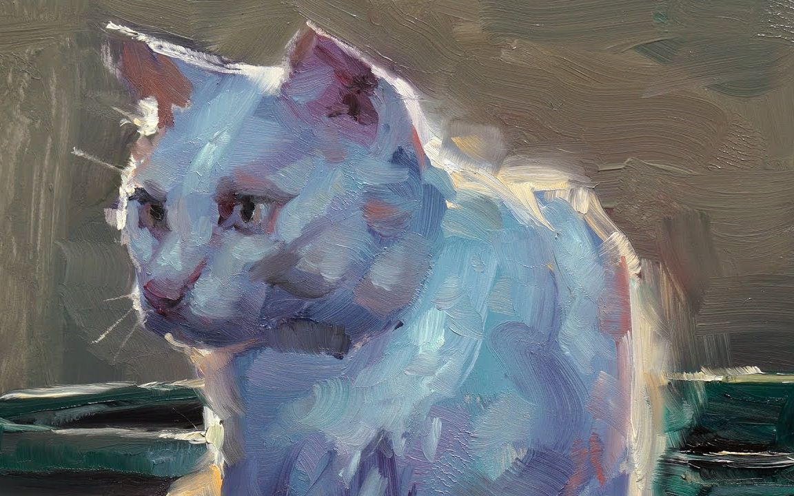 【油画过程】一只白猫的油画过程~