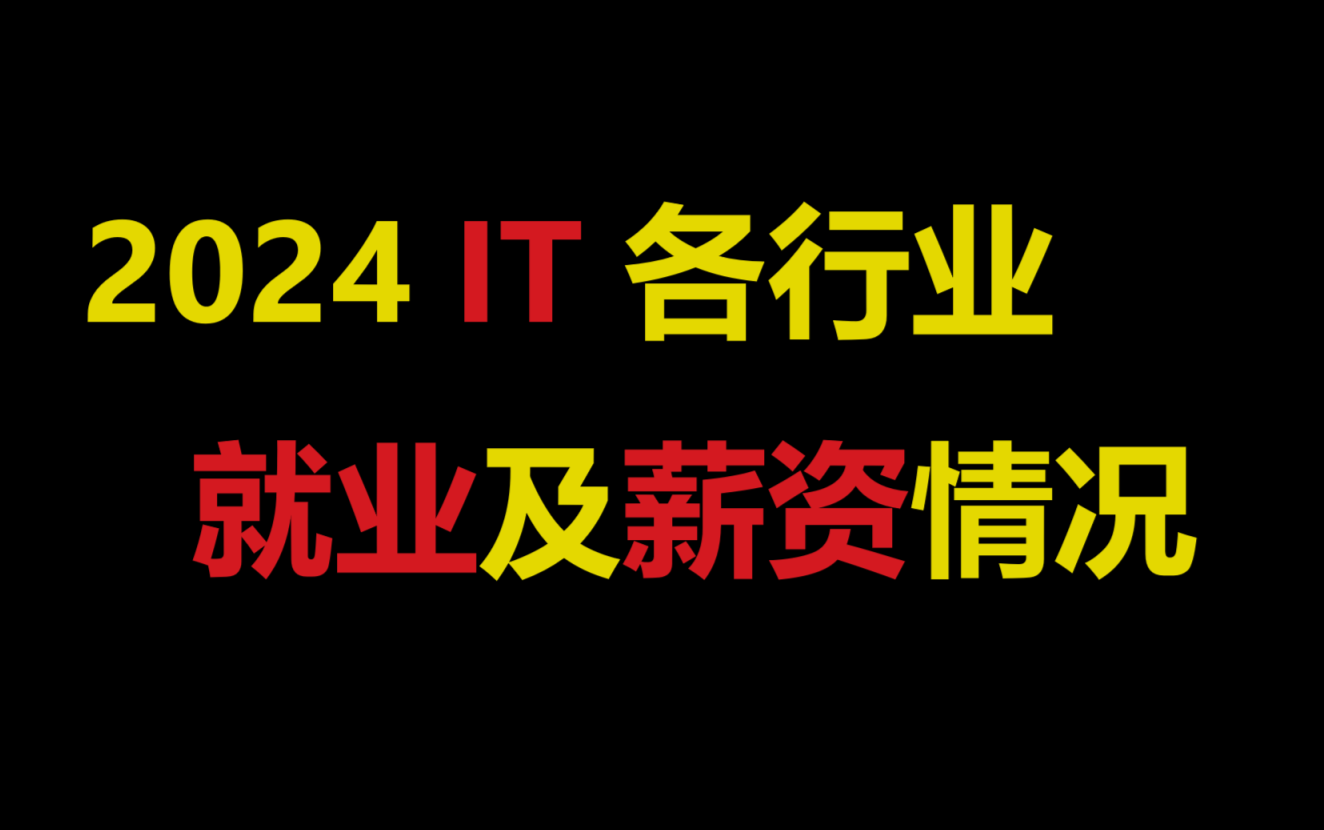 2024IT各行业就业及薪资情况