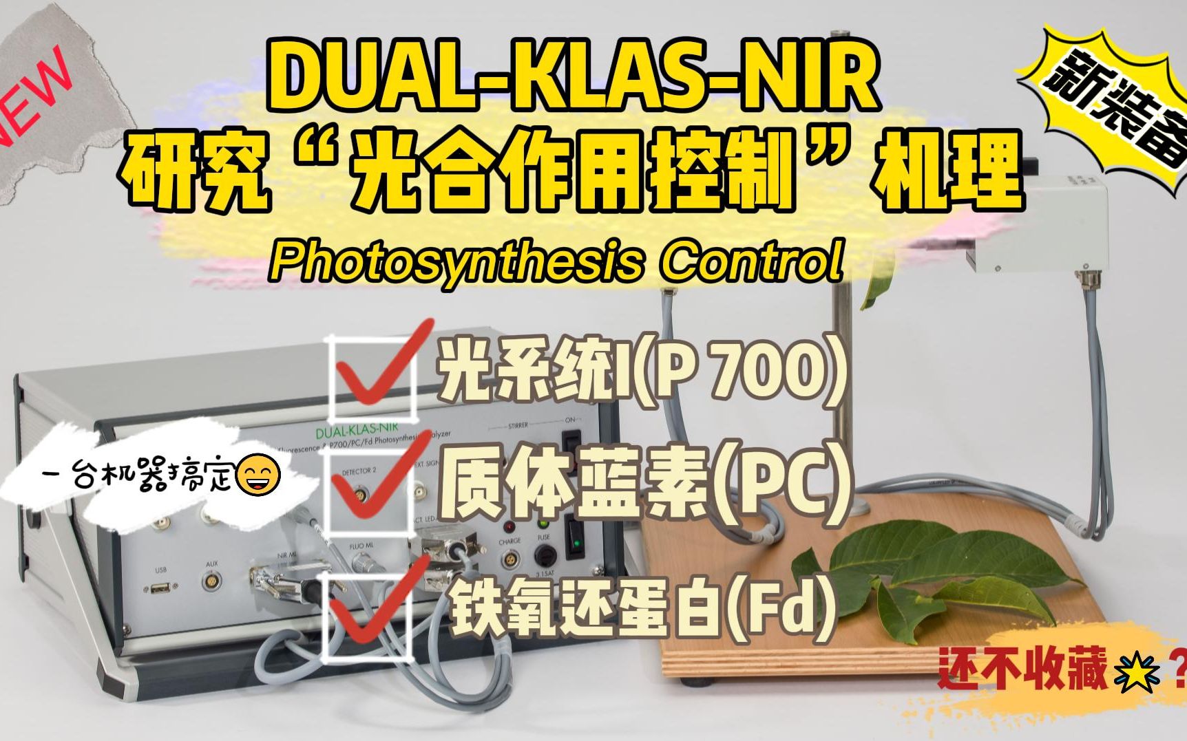 PEPG2021植物生理培训班 第三节:“光合控制”:指示光合作用光反应...