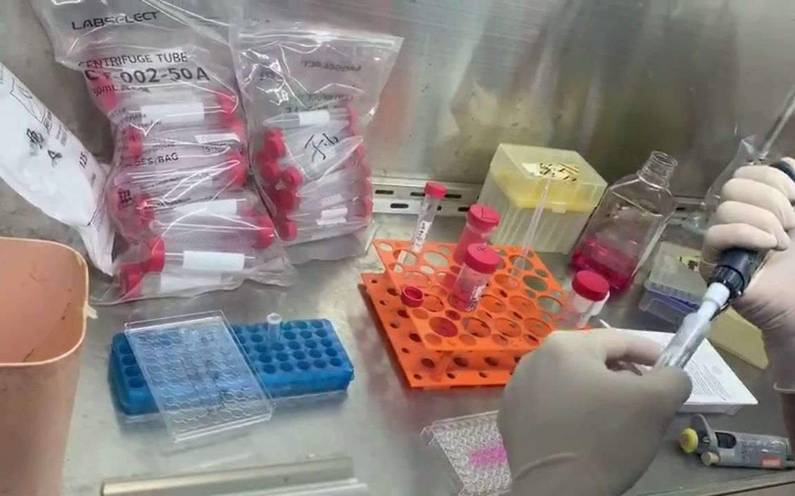 细胞流式染色记录-表染及胞内染色