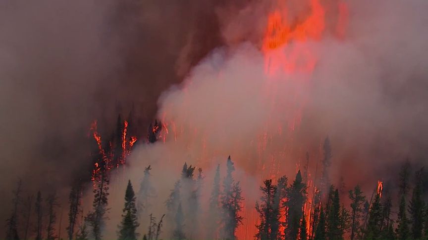 森林火灾危害大,害人害己害国家!森林防火是全社会的共同职责。