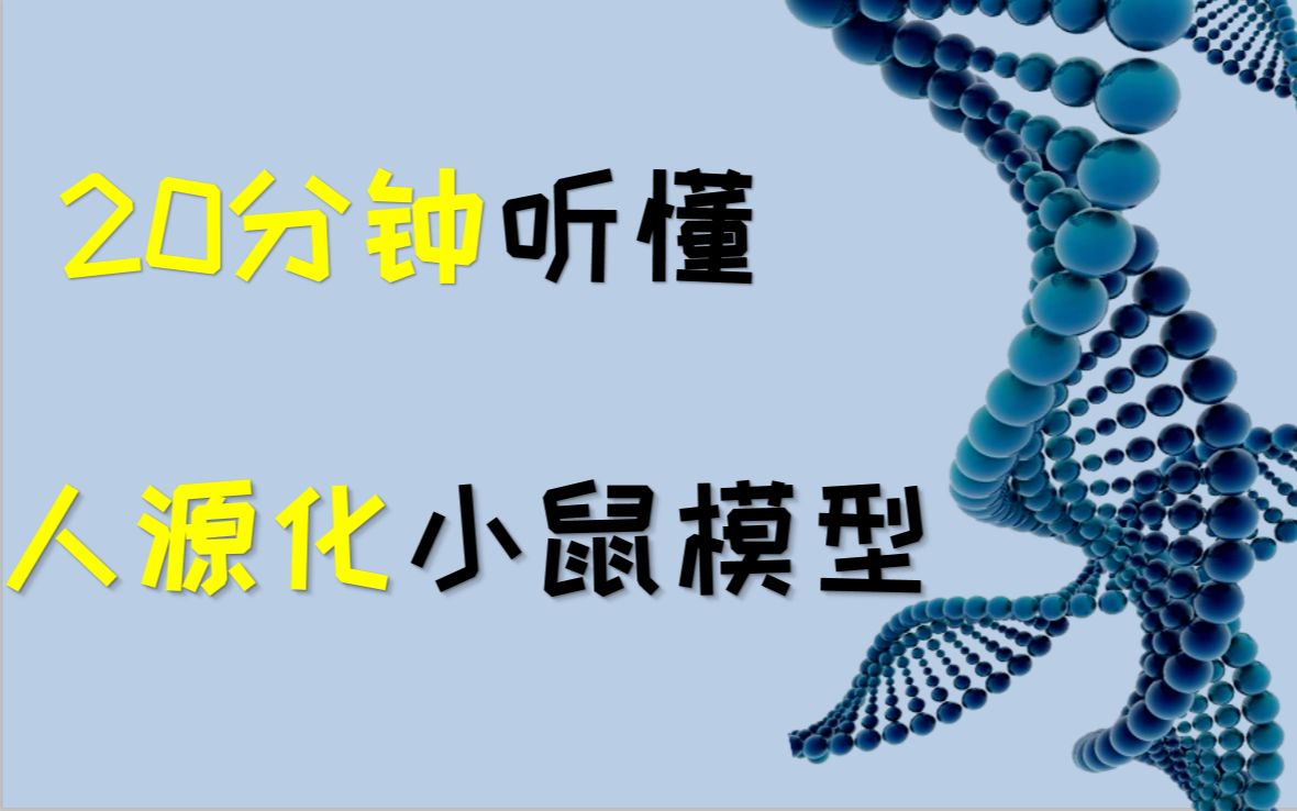 【人源化小鼠模型】/20分钟就能听懂的最全“人源化小鼠”介绍