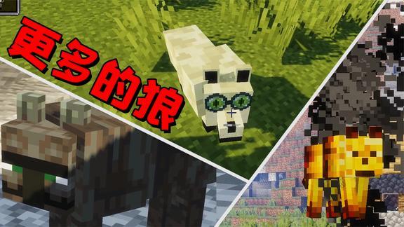 我的世界mod:当MC添加了41种狼,狼死亡竟会掉落各种物品!