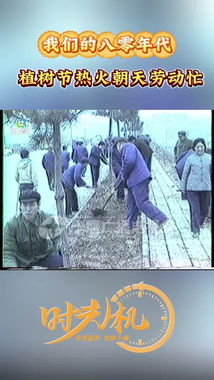 镜头记录的是80年代火热的植树现场 几十年过去了,当年的小树苗如今...