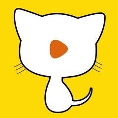 猫的影