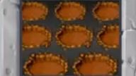 【植物大战僵尸杂交版V2.6.1】迷你游戏 坑坑洼洼_PVZ