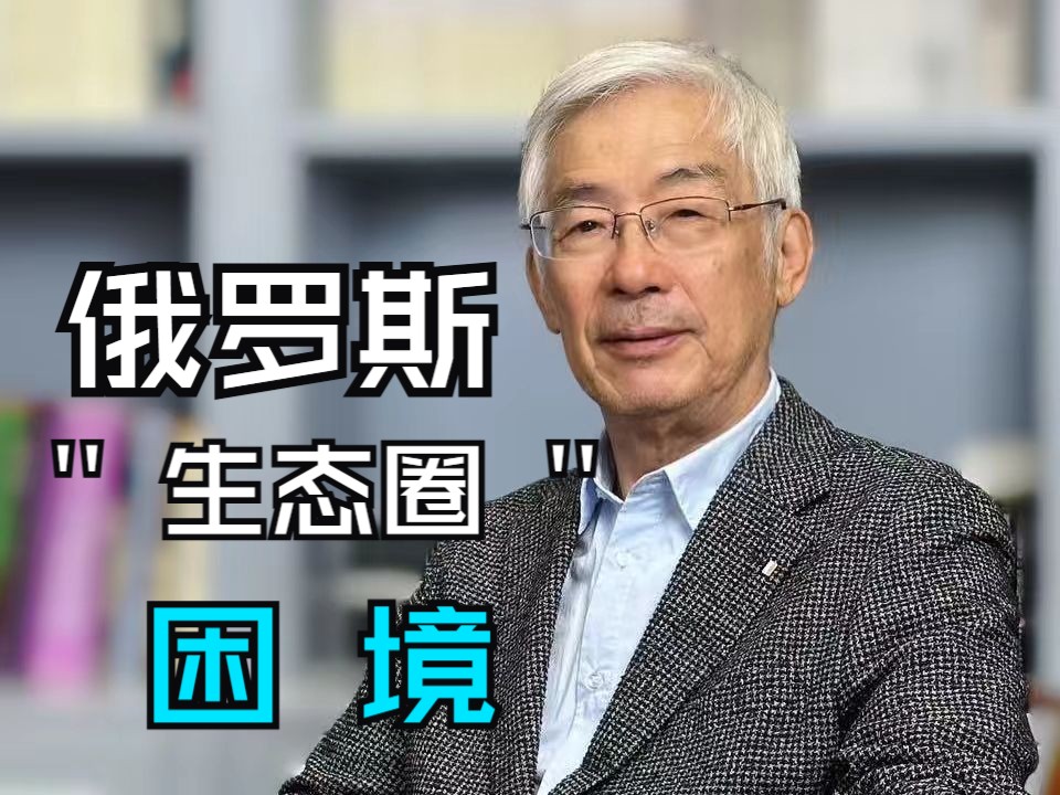 俄罗斯经济圈的困境