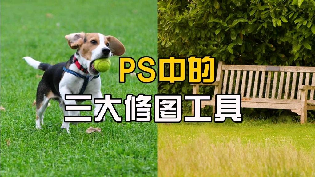 PS中三大修图工具的使用方法和使用场景