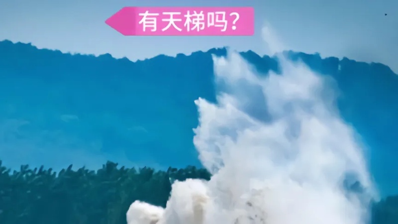 美篇与西瓜我的故事
