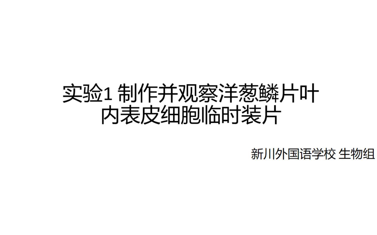 实验1制作并观察洋葱鳞片叶内表皮细胞临时装片