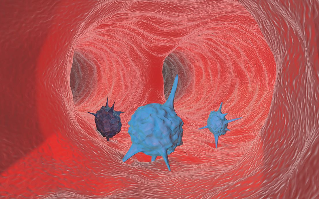 科研绘图-3dmax快速制作血管