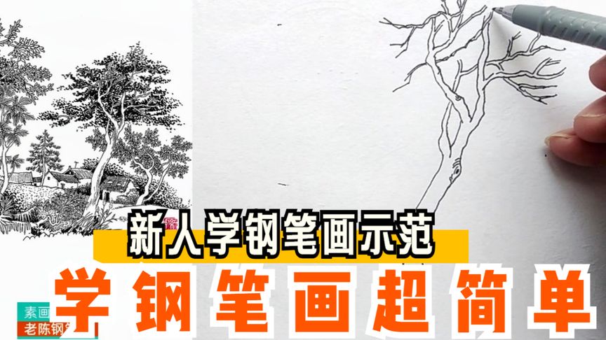 新人学习钢笔画进阶示范:树枝与树干的画法,简单实用