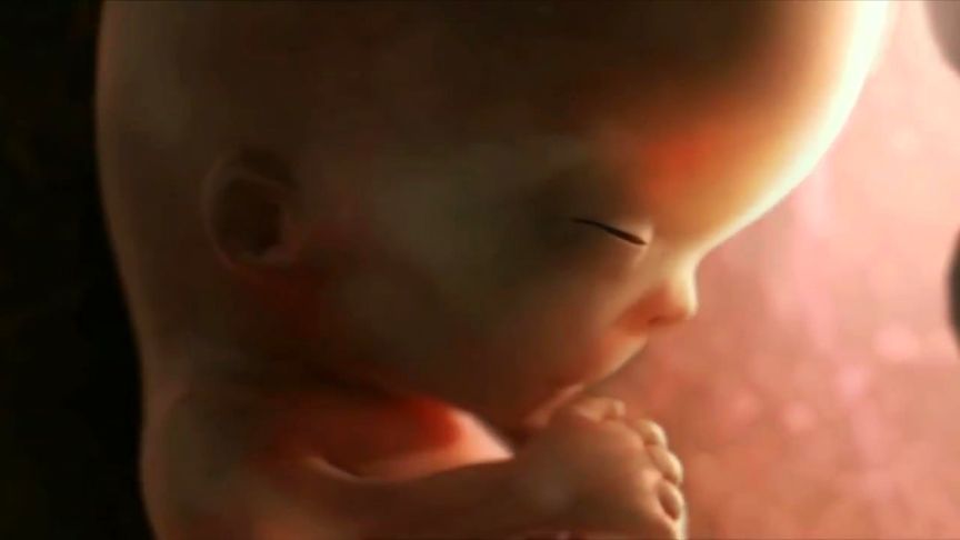 《一个孩子的诞生》视频揭秘生命孕育的全过程,生命诞生的奥妙!
