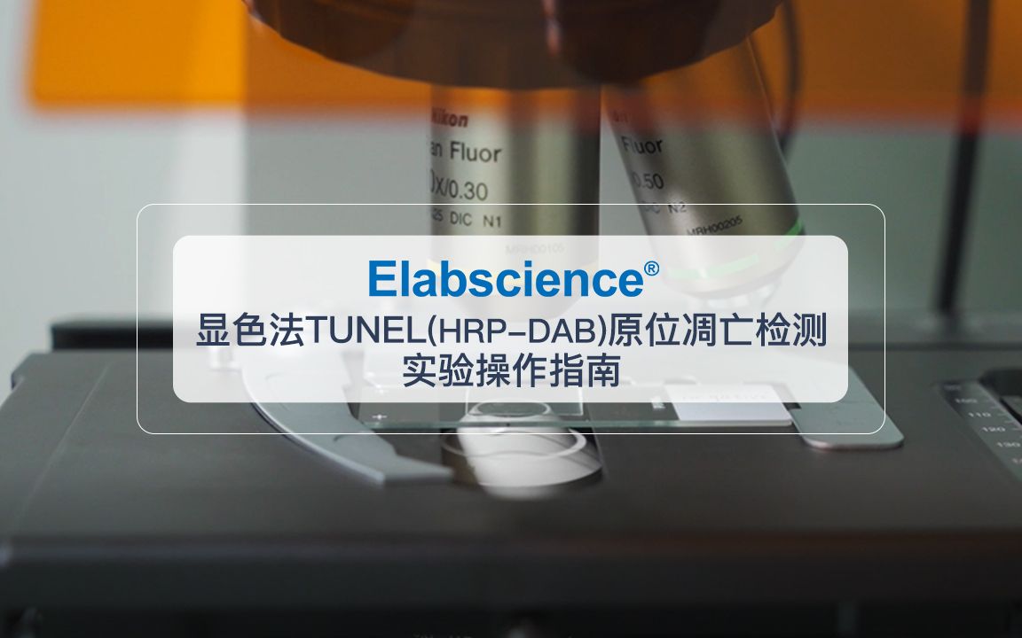 Elabscience_TUNEL原位细胞凋亡试剂盒(HRP-DAB显色法)操作指南
