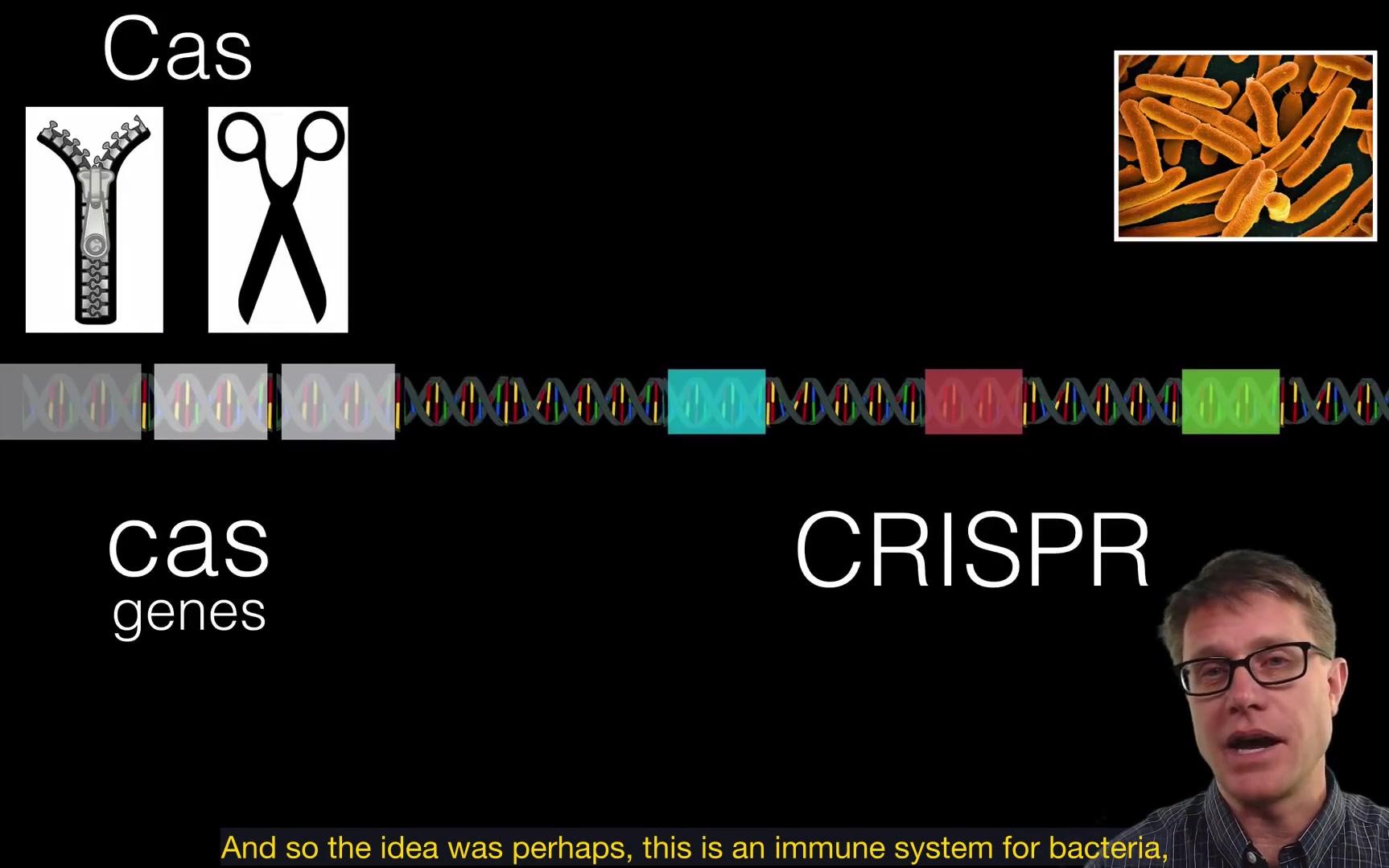 【生物/基因工程】什么是 CRISPR ?
