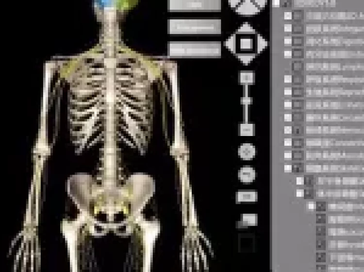 3D医学人体解剖软件视频演示