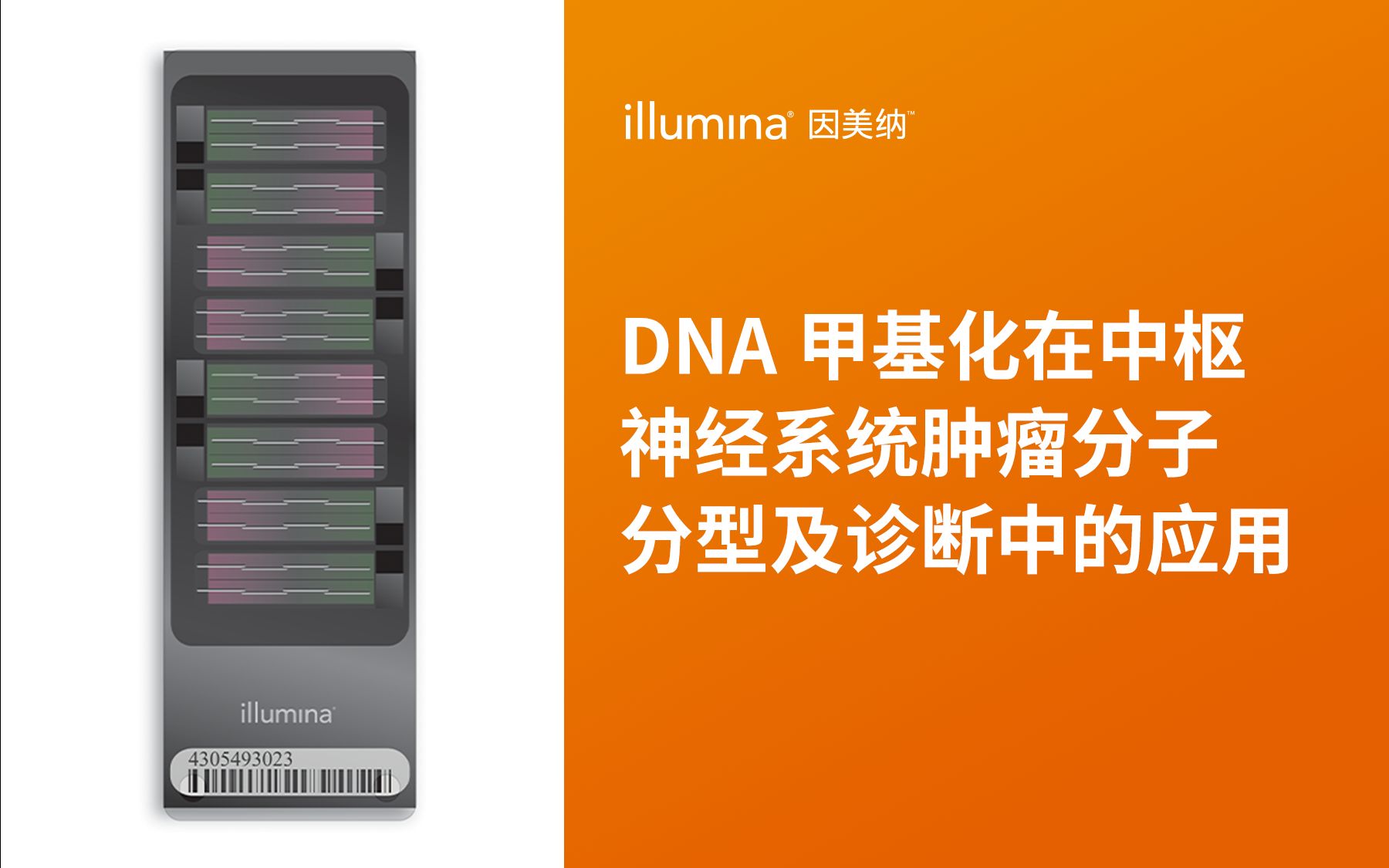 DNA甲基化在中枢神经系统肿瘤分子分型及诊断中的应用