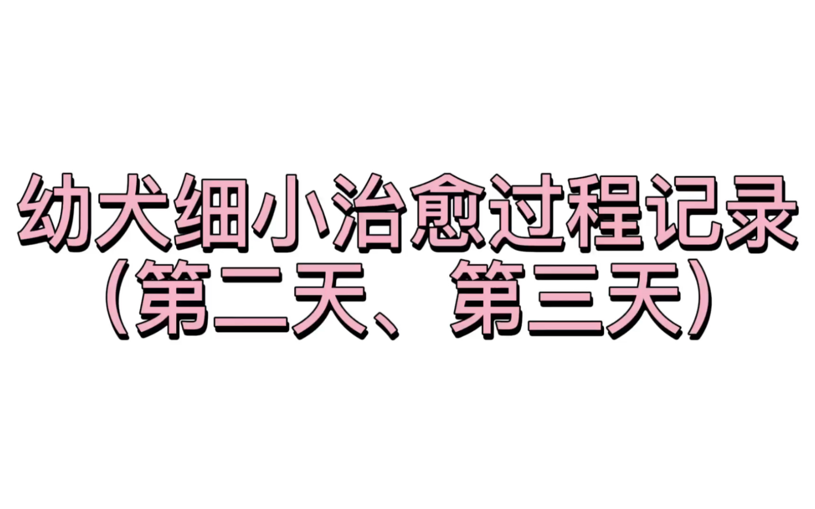幼犬细小治愈过程记录(第二天、第三天)