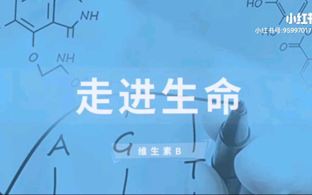 今日分享:富含维生素B的食物有哪些?缺乏维生素B会得哪些病症?每天...