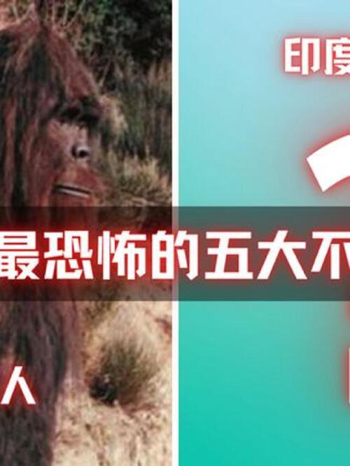 世界上最恐怖的五大不明生物,真是匪夷所思!
