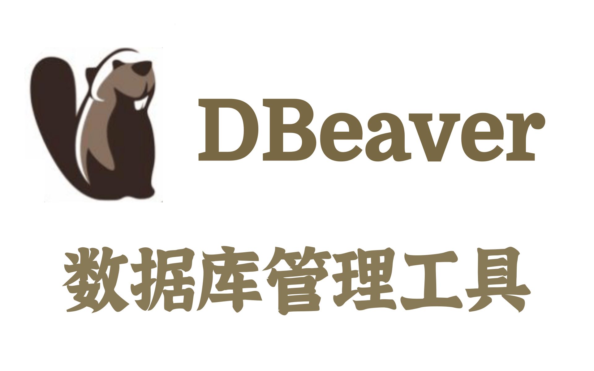 DBeaver教程 — 通用的数据库管理工具和 SQL 客户端,MySQL, ...