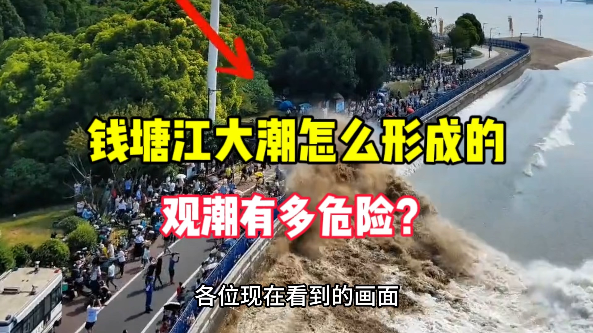 钱塘江大潮是怎么形成的?观潮时有多危险?2分钟视频告诉你