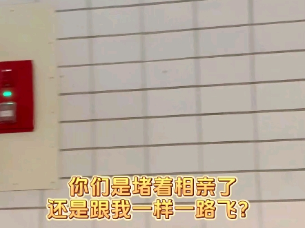 别人隧道堵车相亲,我一路畅通到离谱,泡沫消火栓箱还超整齐