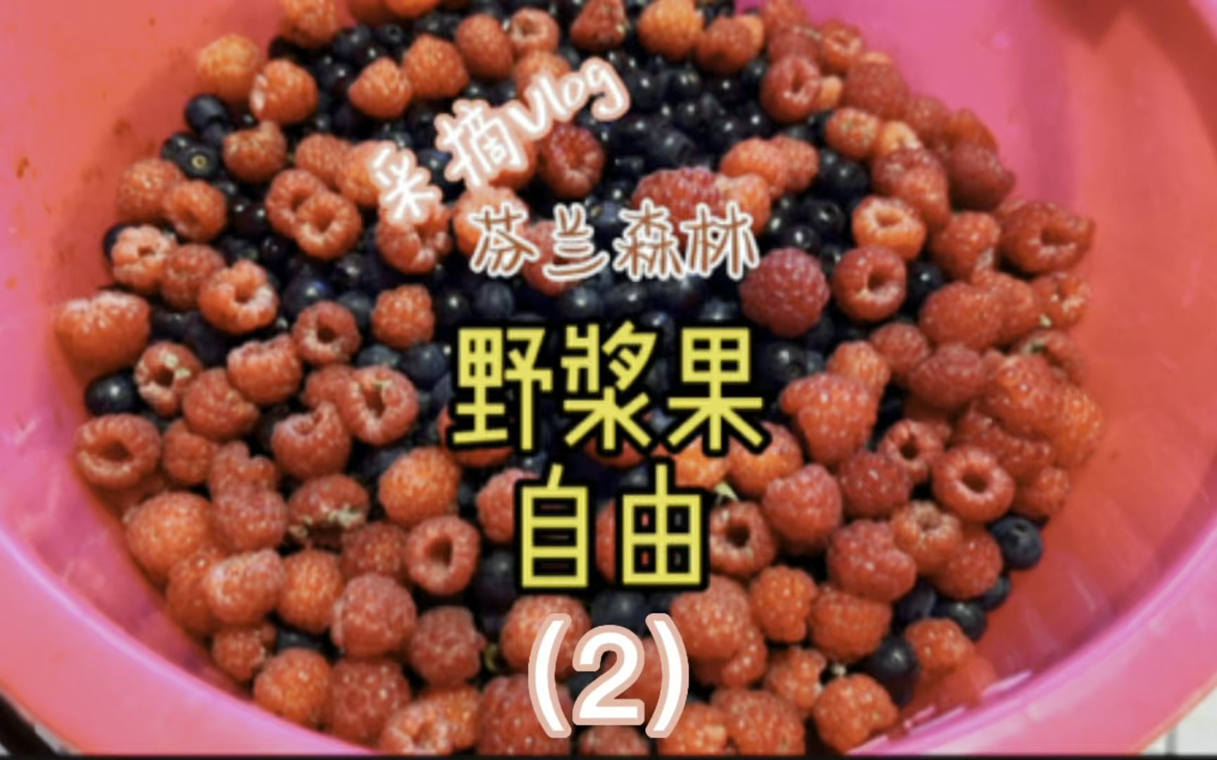 蓝莓 覆盆子 野浆果自由 芬兰大自然的馈赠