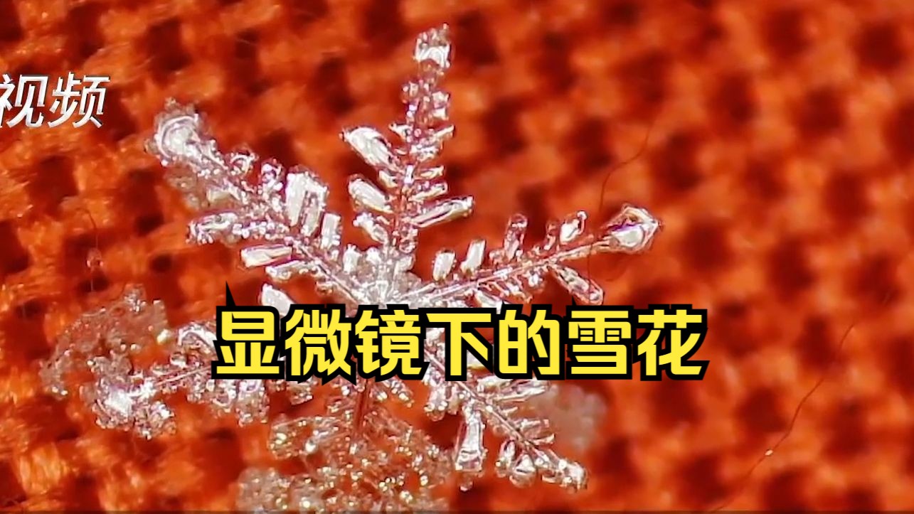 科学老师眼里的雪花长什么样?郑州一教师用显微镜拍下30多种雪花...
