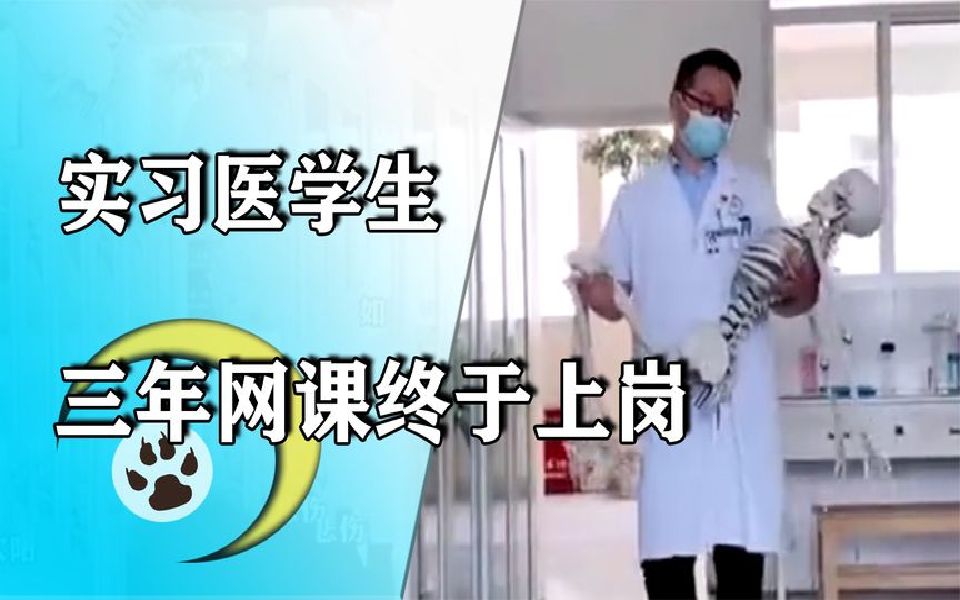 医学生开始实习,学了三年网课终于上岗,观众:千万别让他们毕业