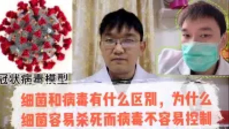 细菌和病毒有什么区别,为什么细菌容易被抗生素杀死而病毒这么难以...