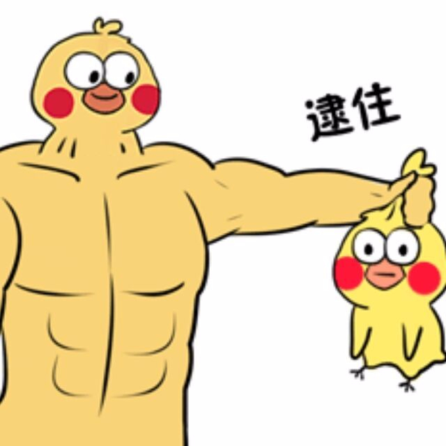 雪漫云杉 