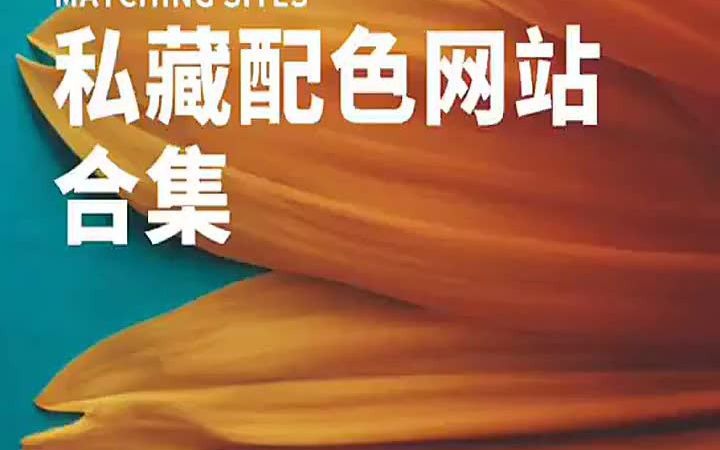 【海报设计入门教学】5个收藏的配色网站你知道几个 概念海报设计...