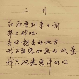 她的芦苇 